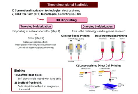 Three Dimensional Scaffolds One Step Biofabrication Techniques Download Scientific Diagram
