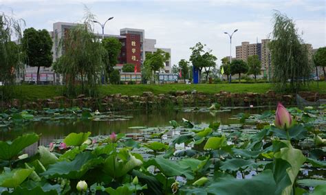 安徽铜陵技师学院 铜陵理工学校 校园风光