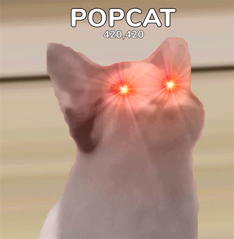 อนดบหนง 100 ภาพ ภาพpopcat ครบถวน BuoiHoLo VTTN VN