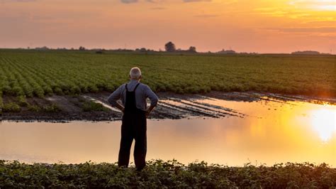 How Crops Can Better Survive Floods Preventionweb