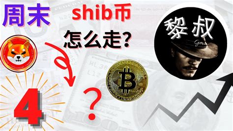 狗狗币 大跌shib 大涨 买入， 周末柴犬币 Shib 的机会？ 狗狗币 暴跌 买入？比特币 大跌 买入 新手 加密货币 分析