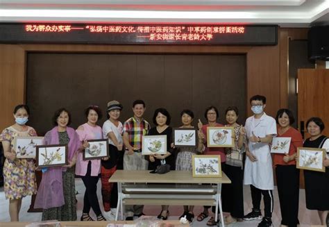 一起拼出健康寶安新安長青老齡大學舉辦別開生面的中草藥拼圖藝術課 每日頭條