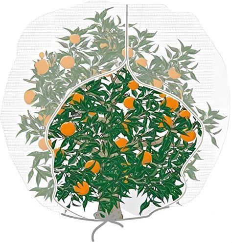 Netting 120 Hx120 W Garden Netting Insect Pest Barrier Plant Cover