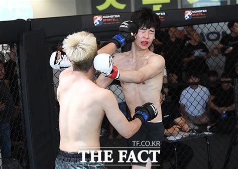 프로 Mma 선수가 되기 위한 첫걸음 비스트챔피언쉽 아마리그 04 Tf사진관 포토 기사 더팩트