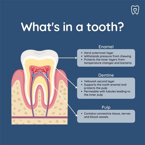 Atria City Dental Group Singapore Singapore