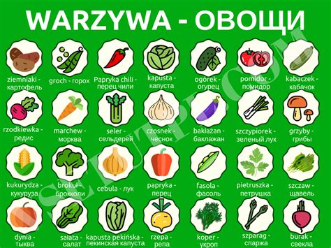 Овощи на польском языке с переводом