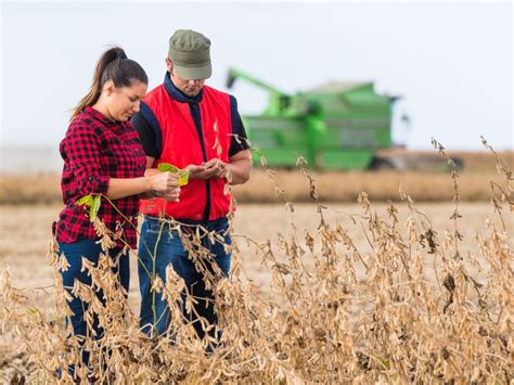 Empresa De Consultoria Agropecuária Soluções No Agronegócio
