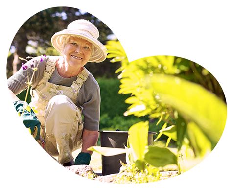 Z Plus Zorgcentrale Met Een Plus