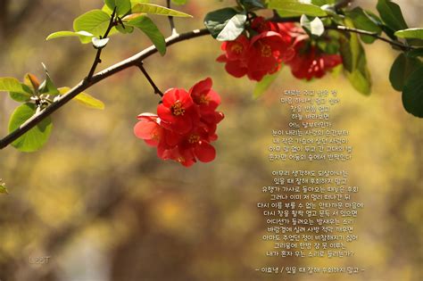있을 때 잘해 후회하지 말고 이효녕