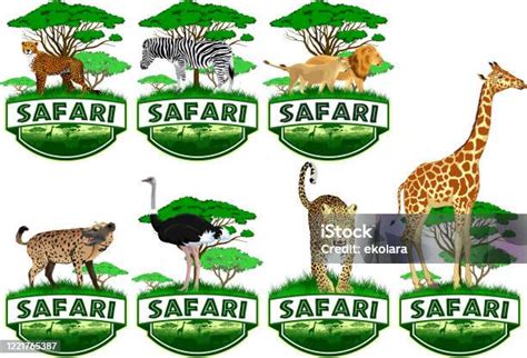 사자 얼룩말 타조 표범 기린 치타와 발견 하이에나와 벡터 아프리카 사바나 사파리 엠블럼의 세트 사파리 여행에 대한 스톡 벡터 아트 및 기타 이미지 Istock