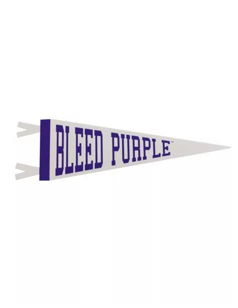 Tsu Mini Pennant Barefoot Campus Outfitter