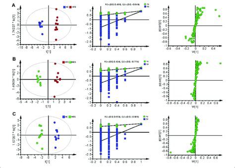 Serum Metabolomic Profiling By Uplc Qtof Ms In Negative Ion Modes