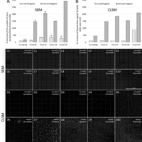 Sem Quantification Of The Abundancy Of Sars Cov 2 Virus Like Particles