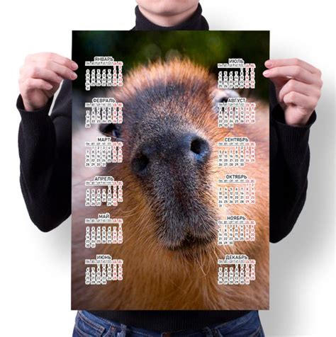 Календарь MIGOM настенный принт А3 "Capybara v2, Капибара" - v0002 ...