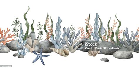 海の小石海のサンゴヒトデ海藻藻類のシームレスな境界線手描きの水彩イラストマリンお土産ポスターステッカー印刷バナーのためのトロピカルコレクション