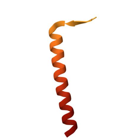 RCSB PDB 8DNW Cryo EM Structure Of The Human Sec61 Complex In A