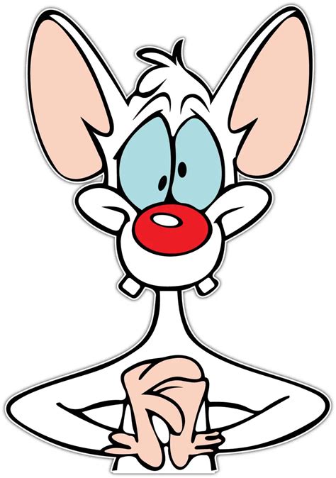 Pinky Brain Cartoon