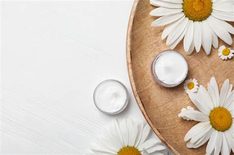 흰색 나무 테이블에 카모마일 꽃과 화장품플랫 평지 구성 텍스트 공간 0명에 대한 스톡 사진 및 기타 이미지 0명 건강관리와