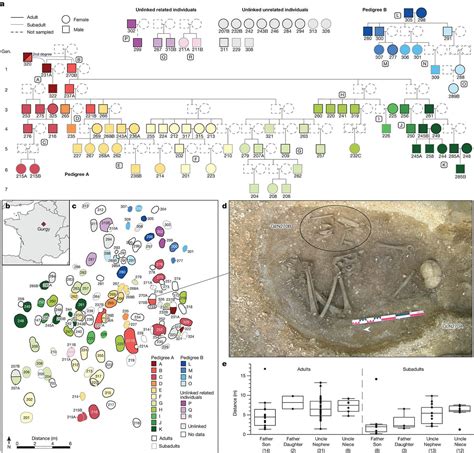 How Homosexuality Can Be Explained From An Evolutionary Perspective