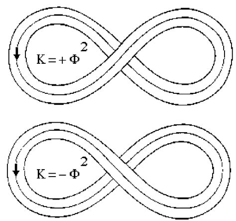 Fig A3 Figure Of 8 Shapes From 102 Download Scientific Diagram