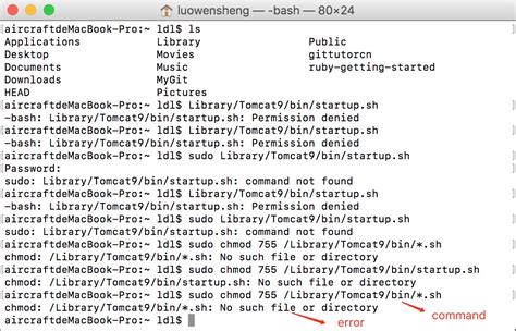 Java When Sudo Chmod 755 Librarytomcat9binsh Occurred An Error