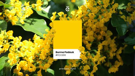 Embracing Color Psychology In Your Holiday Marketing Strategy Newness