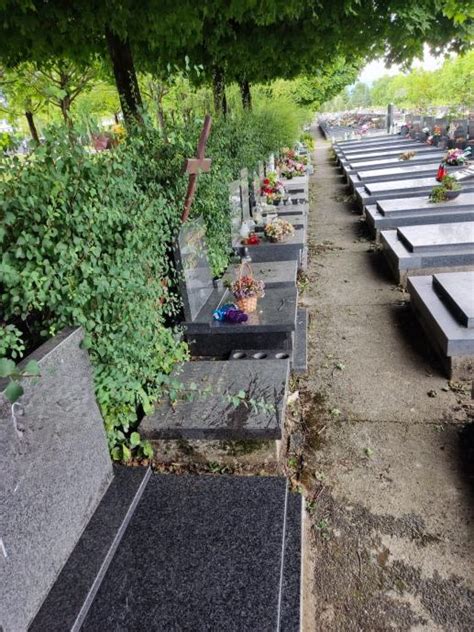 GROBNO MJESTO KAZETA 4 URNE MIROŠEVAC