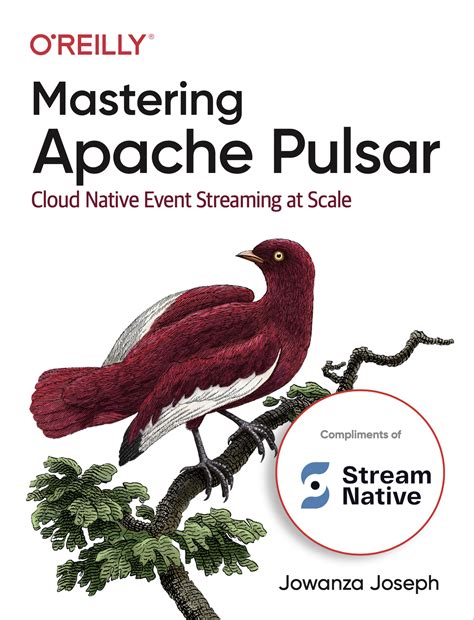 Mastering Apache Pulsar 下载 过往记忆