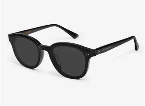 남자 선글라스 브랜드 추천 2024 체스여왕의 정보공유