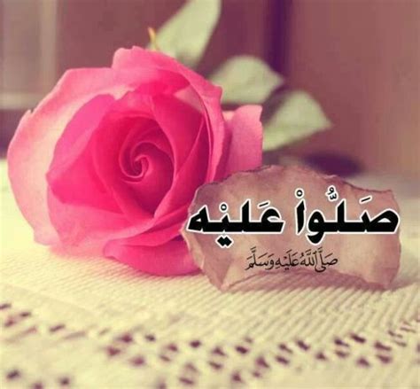 جنَّة تُزهر