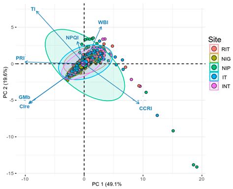 Detection Of Emerging Stress In Trees Using Hyperspectral Indices As Classification Features