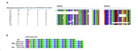A Crispr Patterns And Organization Of Spacer Content Of Crispr Download Scientific Diagram