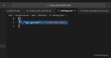 Vscode报错failed To Find The “go” Binary In Eitherfailed To Find The Go