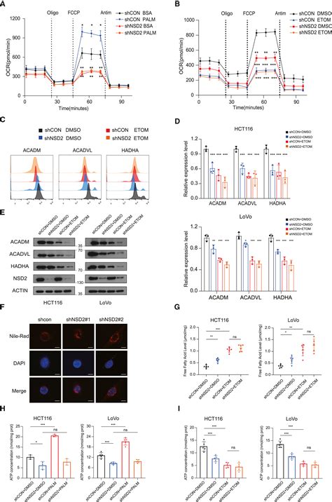 Nsd2 Methylates Aros To Promote Sirt1 Activation And Regulates Fatty Acid Metabolism Mediated