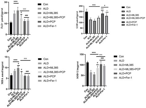 Poria Cocos Polysaccharides Improve Alcoholic Liver Disease By Interfering With Ferroptosis