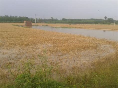 Yamuna Augmentation Canal Breach Man Made Disaster SANDRP