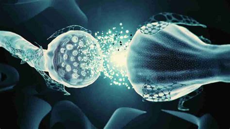 Synaptic Vesicle Dysfunction Triggers Parkinsons Neurodegeneration