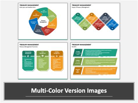 Treasury Management PowerPoint And Google Slides Template PPT Slides