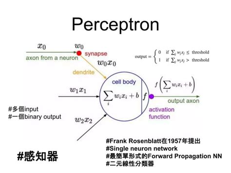 Neural Network Basics Ppt