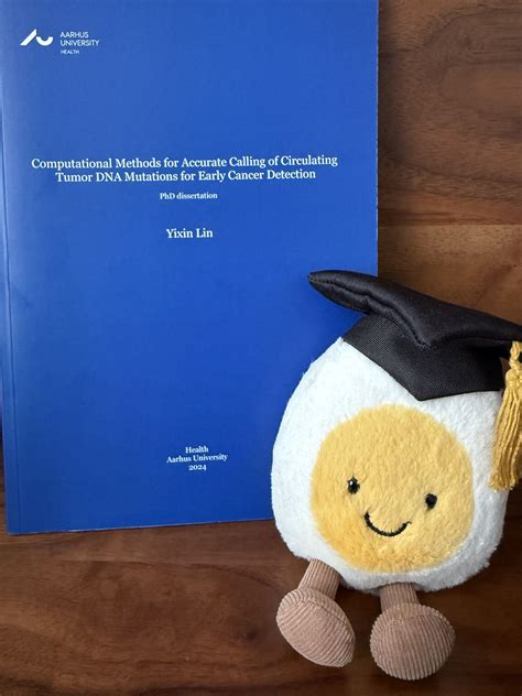 Yixin Lin On Linkedin Officially Dr Lin 🎓 After A Challenging And