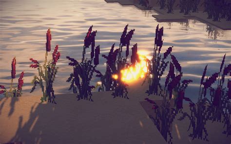 arcane shaders minecraft france