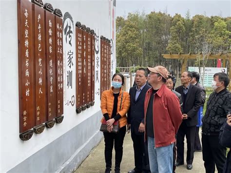 【街镇动态】朱泾镇组织开展住宅小区综合治理调研工作澎湃号·政务澎湃新闻 The Paper