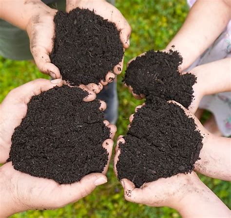 Pro Grow 30l Soil Conditioner Compost Full Pallet 66 Bags Peat Free