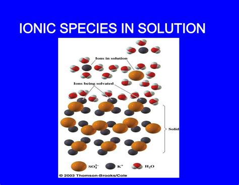 Ppt Solutions And Precipitates Powerpoint Presentation Free Download Id 4264301