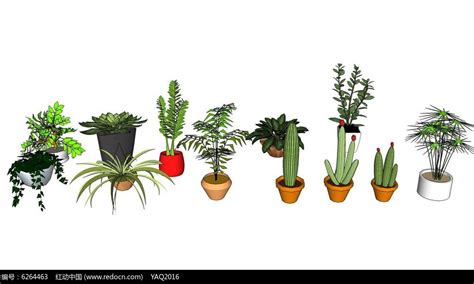 十二款绿植小盆栽su模型图片下载红动中国