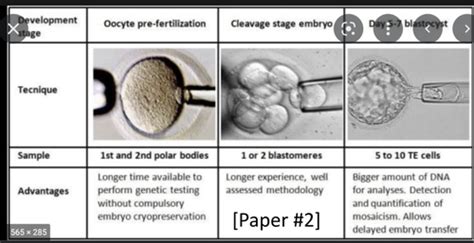Stem Cell Bio Flashcards Quizlet
