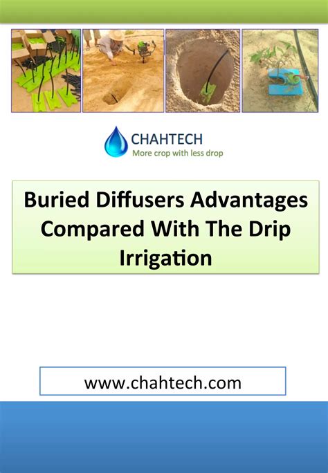 Buried Diffusers Advantages Compared With The Drip Irrigation Pdf