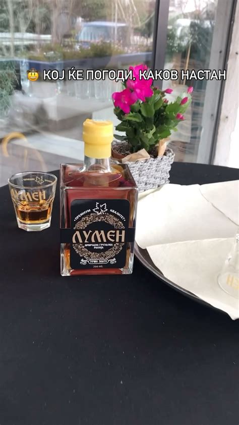 Dnevna 🥃 Дегустација на ракијата Лумен со Цветан неверојатно