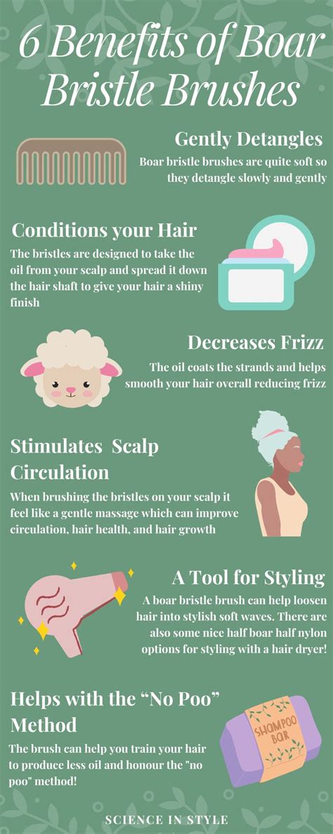 6 Benefits Of Boar Bristle Brushes Infographic In 2023 Boar Bristle