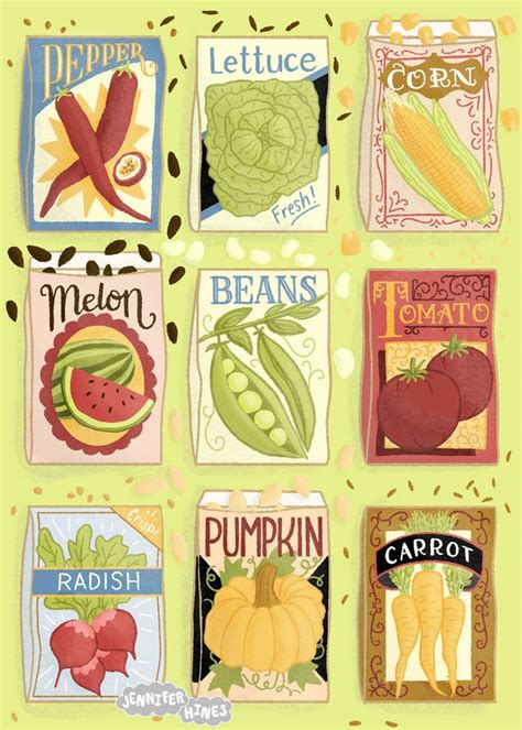 Vintage Inspired Seed Packaging Illustration Seed Packaging Design